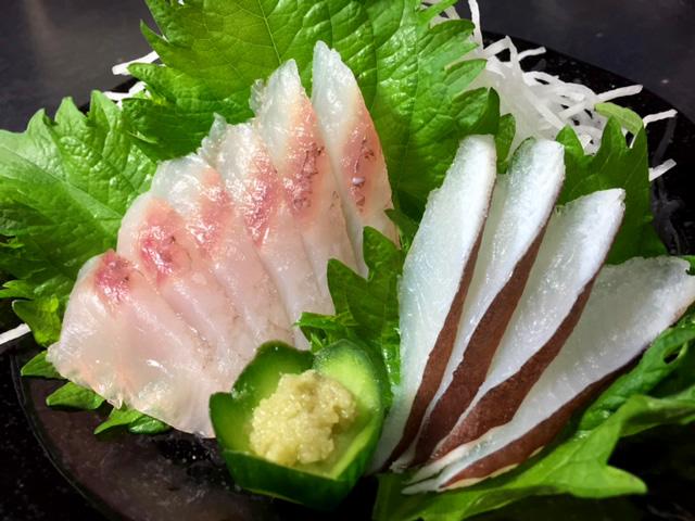 大型アカヤガラは絶対に買い。 | ざざむし。